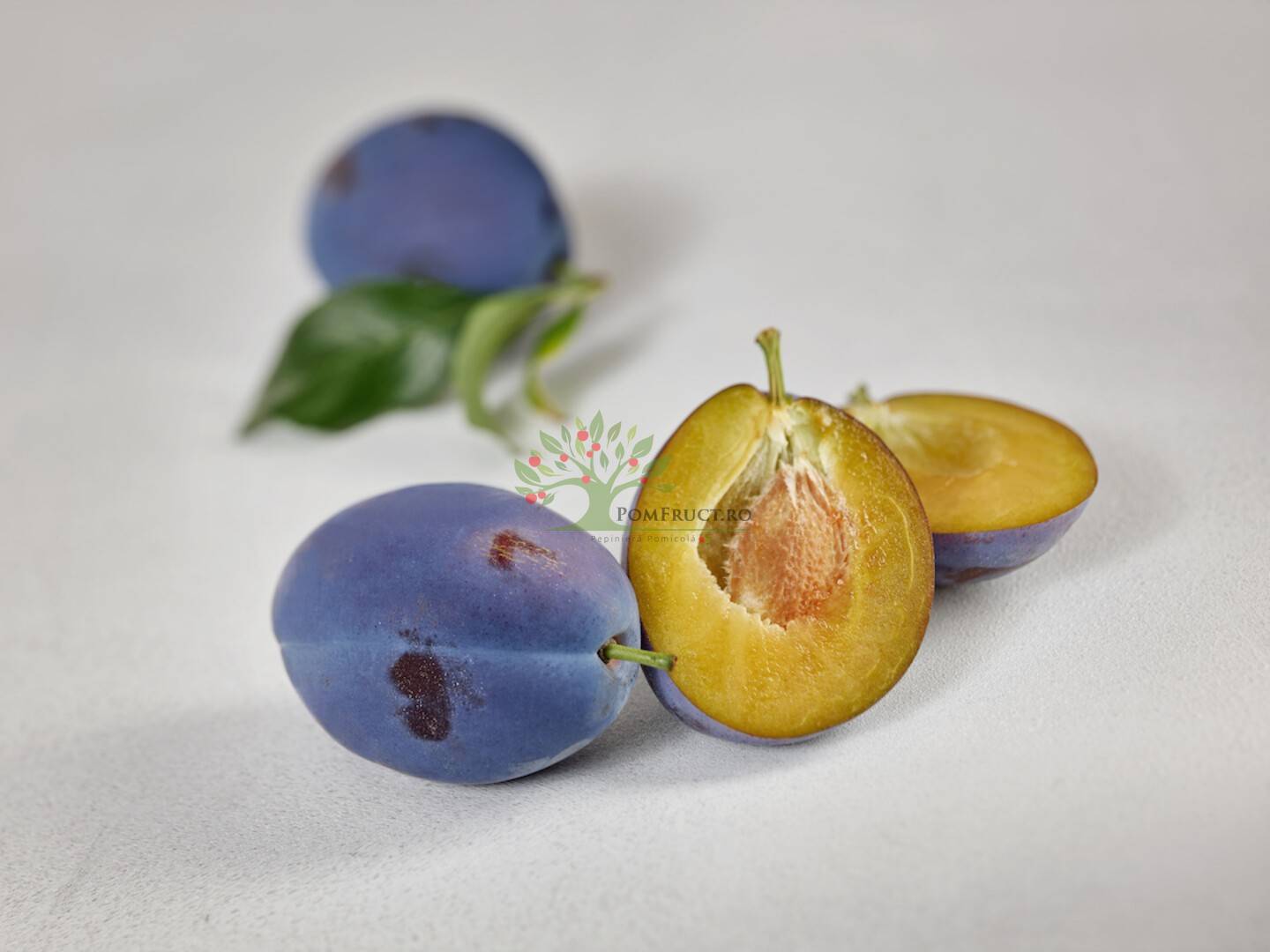 Prun Haganta (Adadptabil) - Pachet 10 bucati